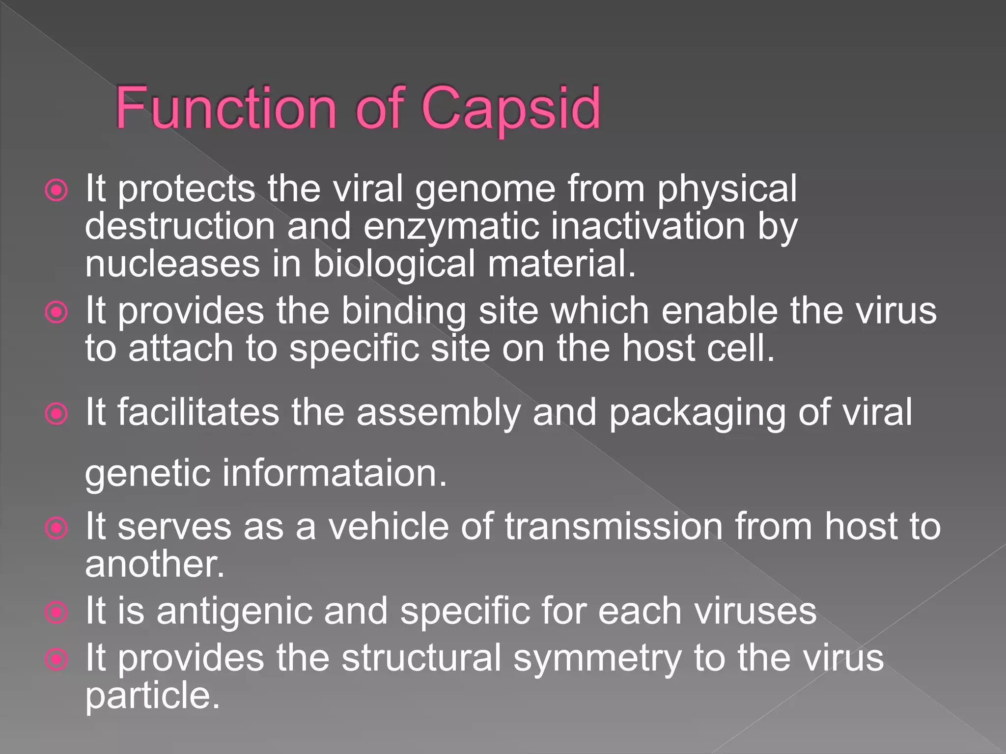 Morphology of virus | PPTX
