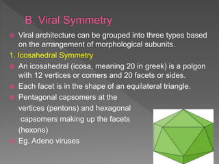 Morphology of virus | PPTX