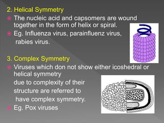 Morphology of virus | PPTX