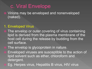Morphology of virus | PPTX