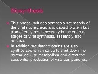 Morphology of virus | PPTX