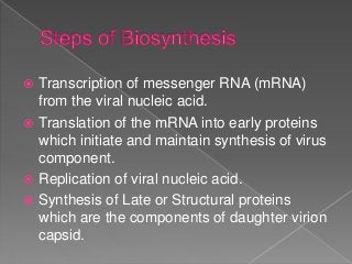 Morphology of virus | PPTX