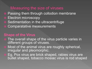 Morphology of virus | PPTX