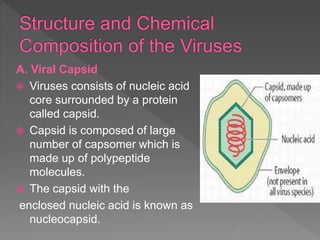 Morphology of virus | PPTX