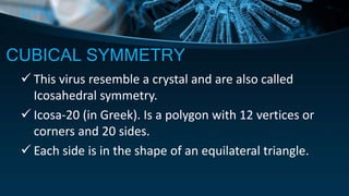 Morphology of virus | PPTX