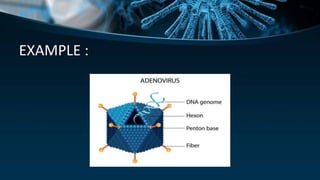 Morphology of virus | PPTX