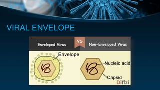 Morphology of virus | PPTX