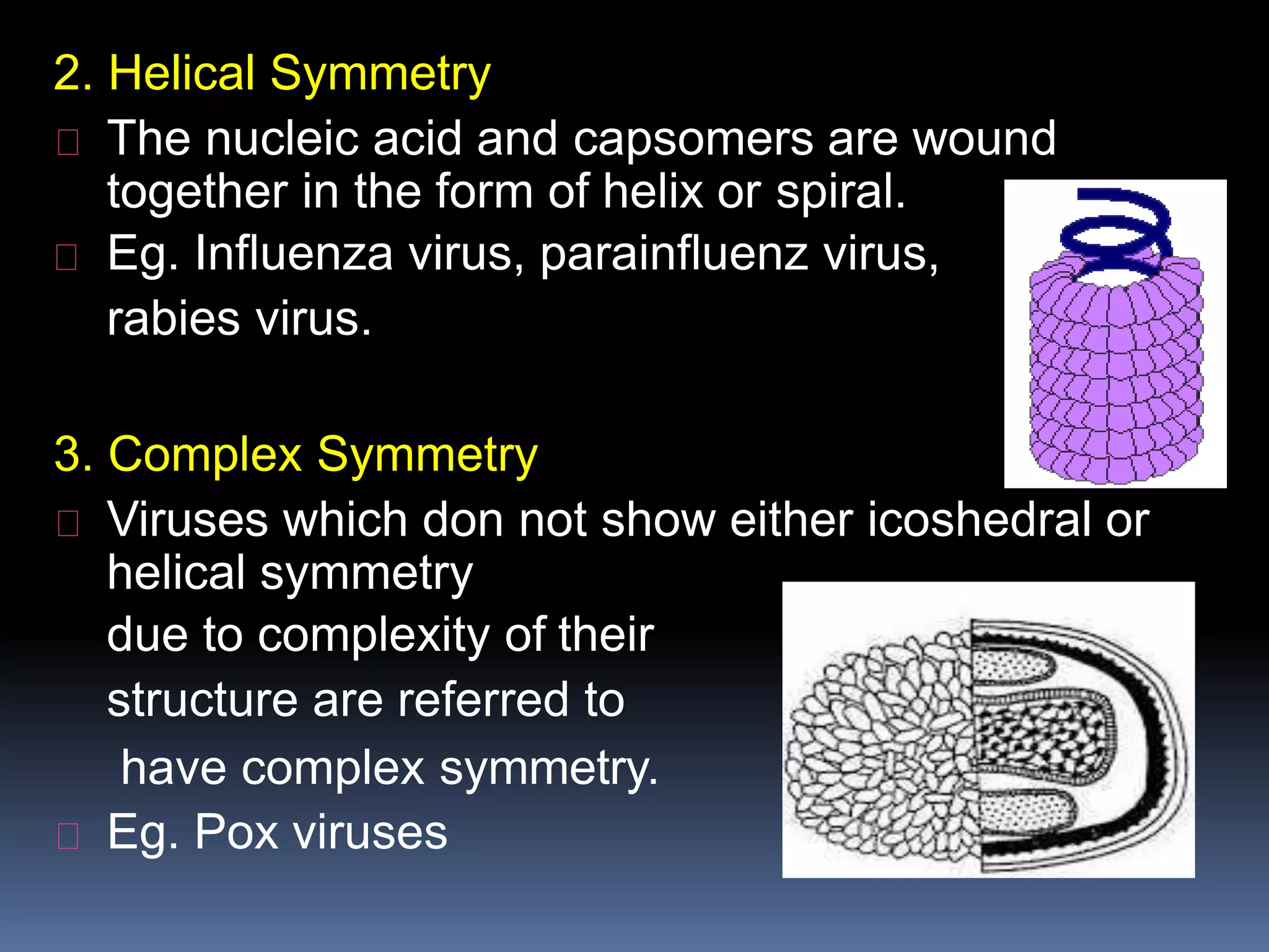 Morphology of virus | PPTX