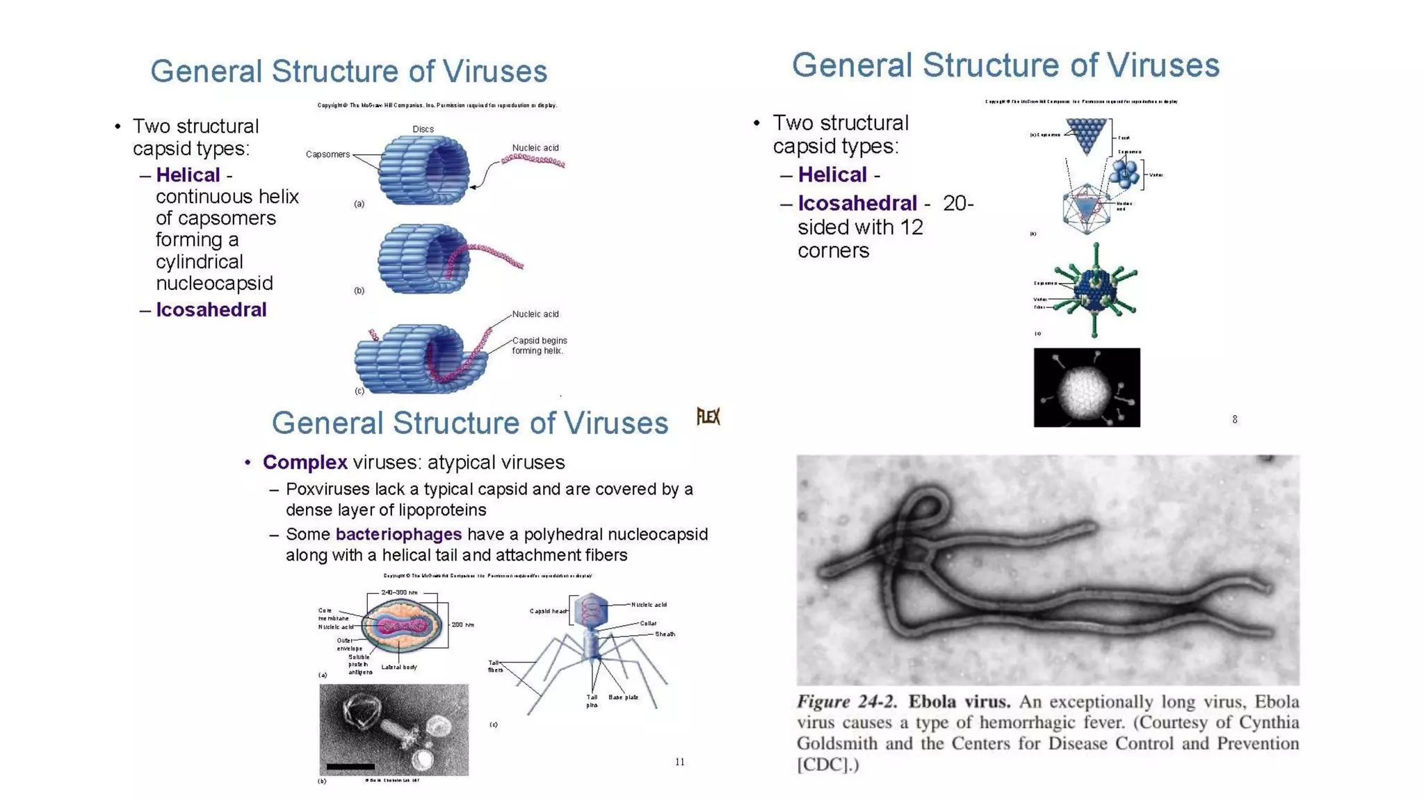 General Characteristics of Viruses | PPTX