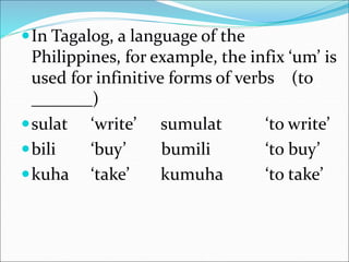 morphology morphological presentation byh | PPT