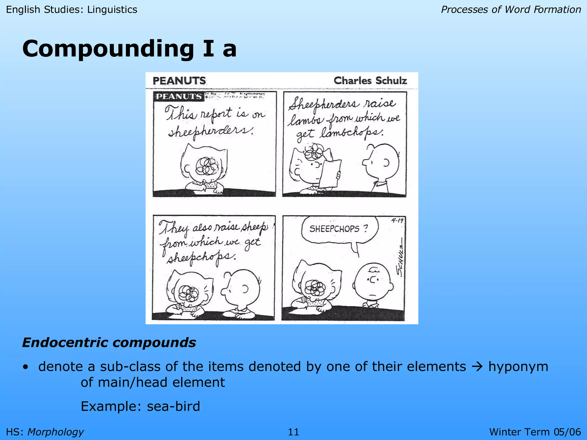 Morphology Presentation | PPT