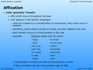 Morphology Presentation | PPT