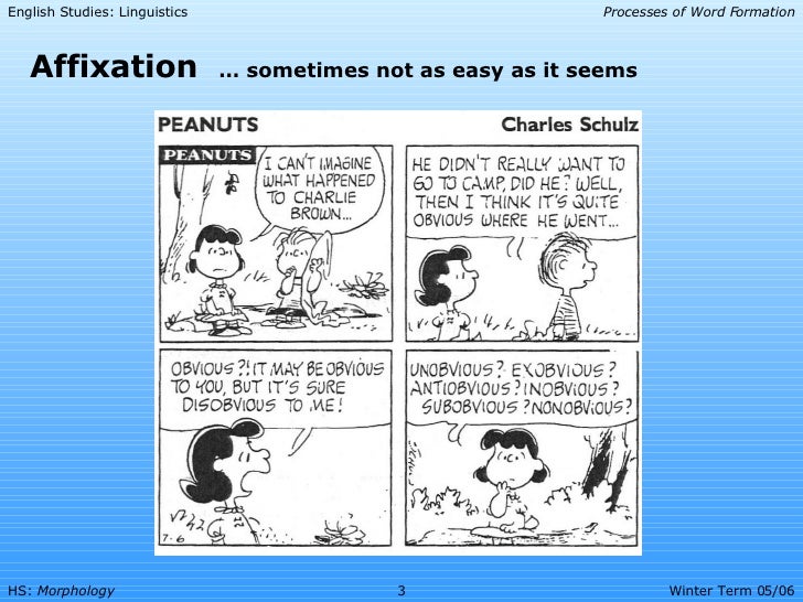 Morphology Presentation