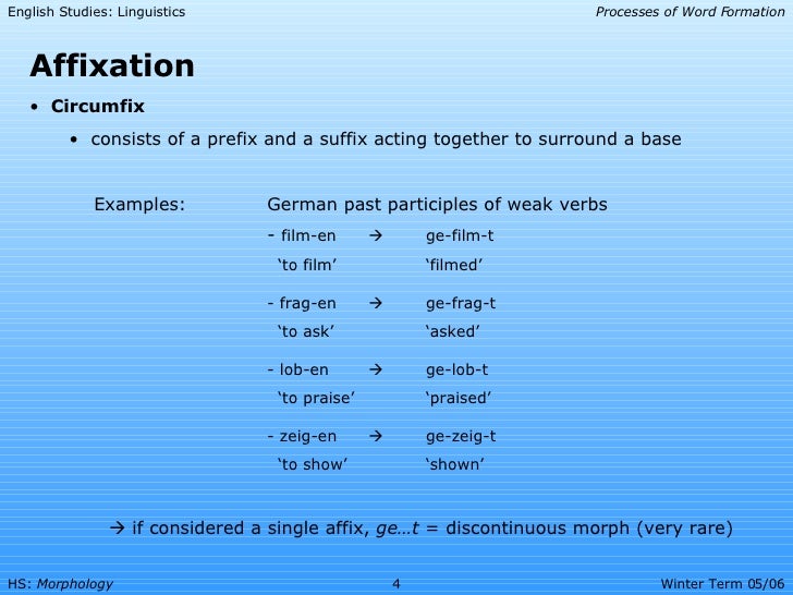 Morphology Presentation