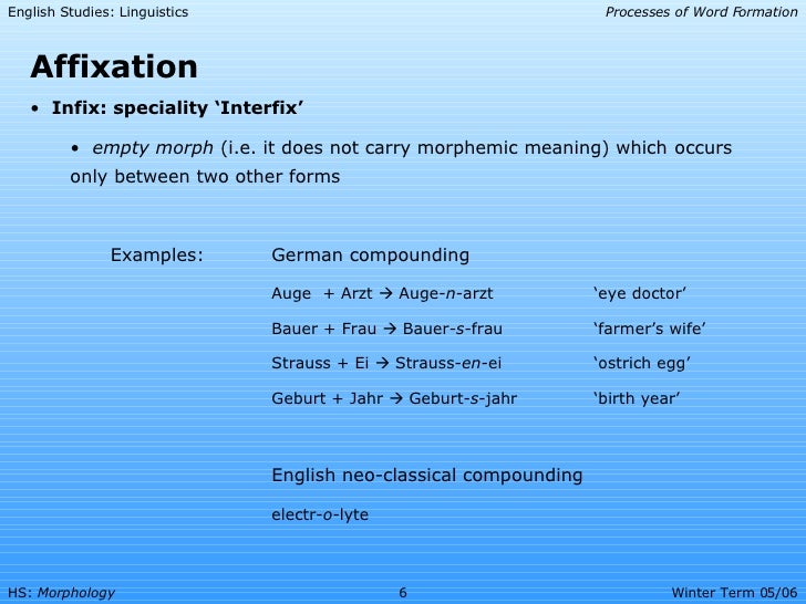 Morphology Presentation