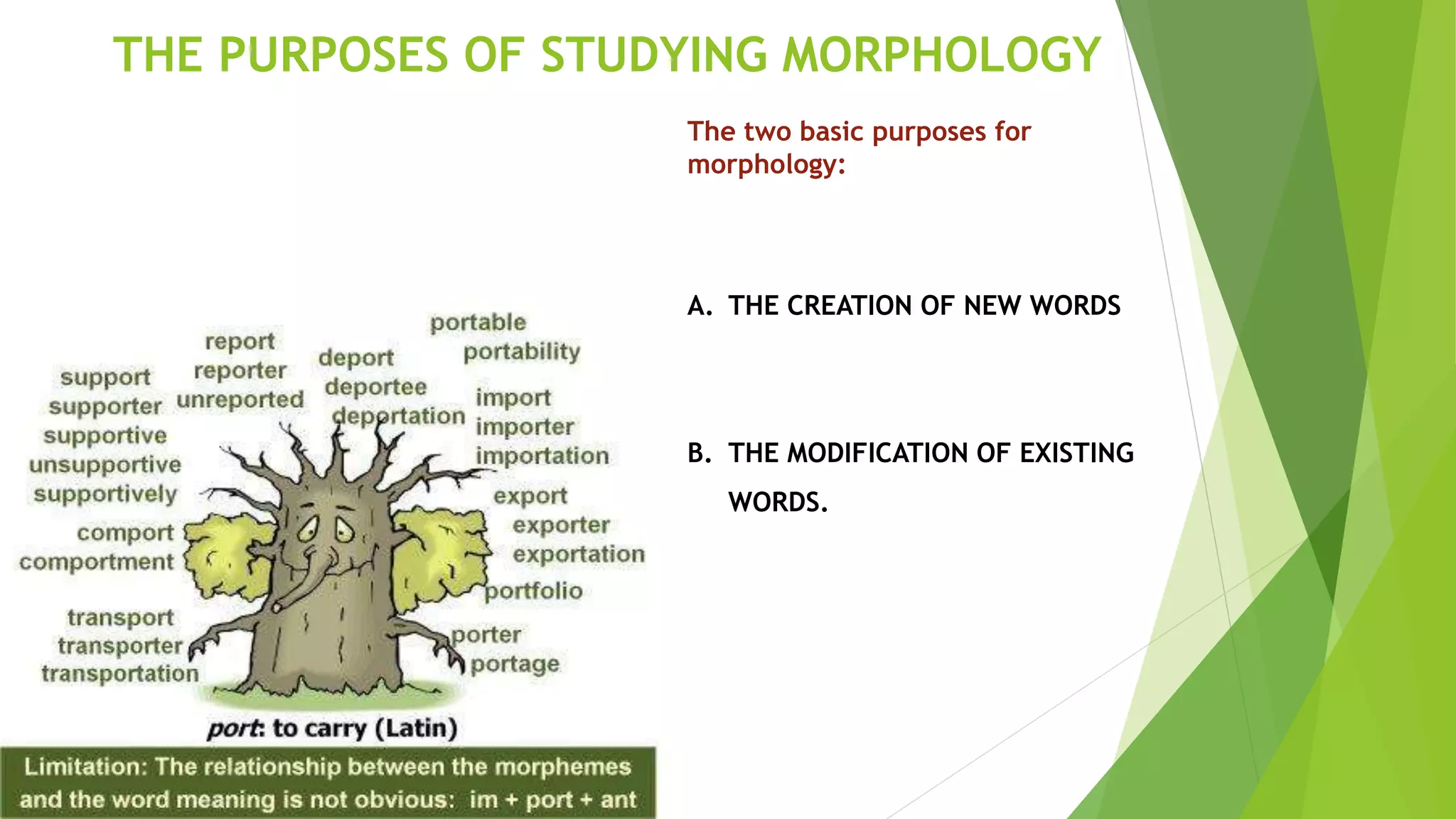 Morphology presentation | PPTX | Geology | Science