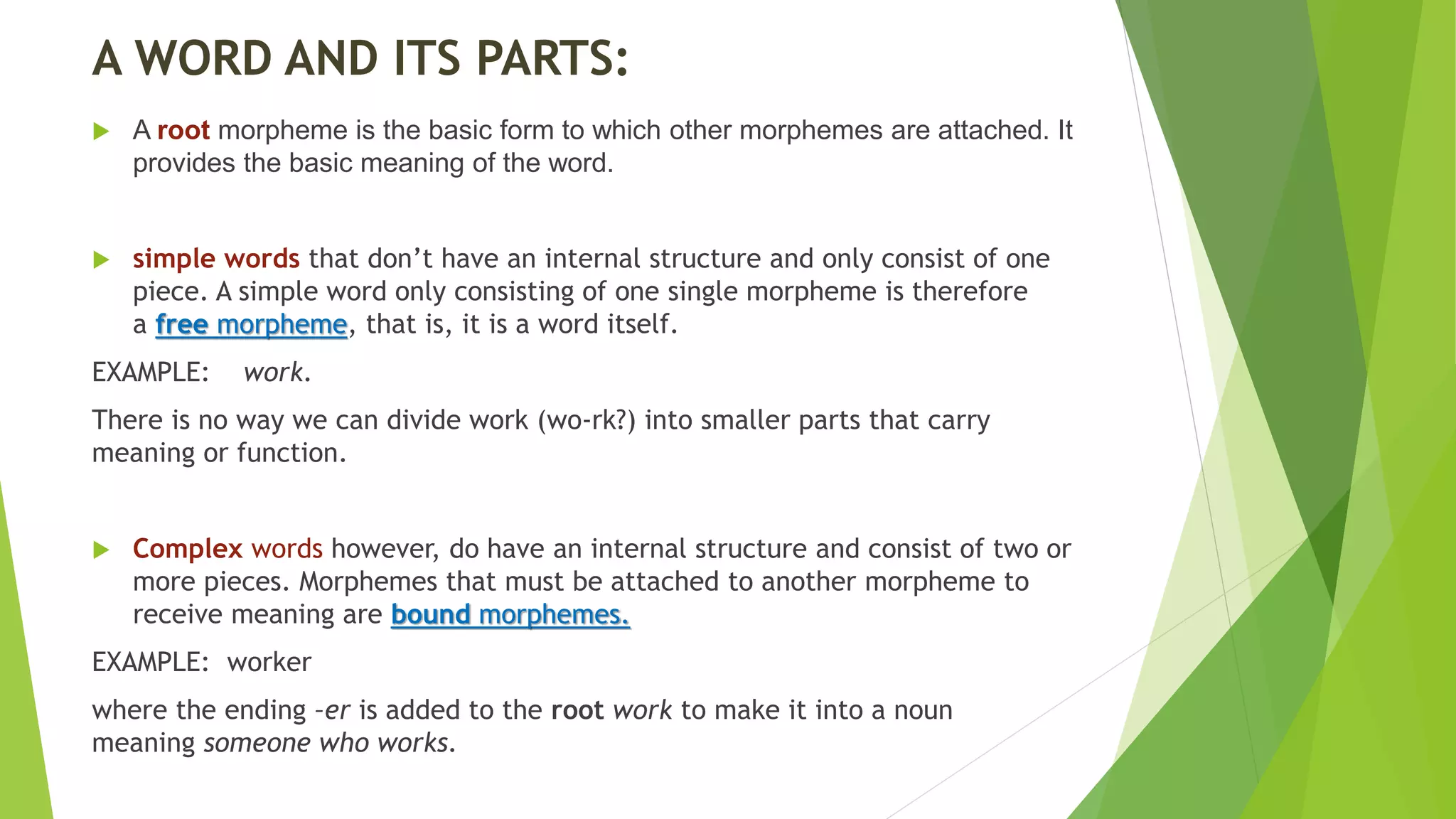 Morphology presentation | PPTX | Geology | Science