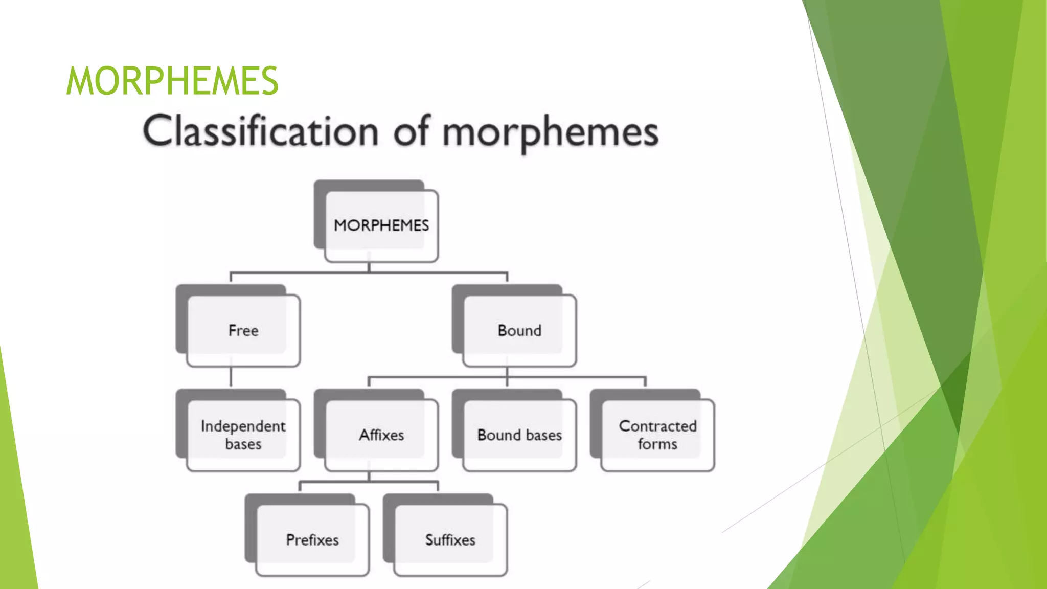 Morphology presentation | PPTX