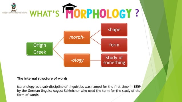 Morphology presentation | PPT