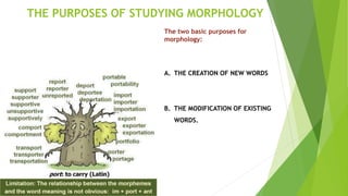 Morphology presentation | PPTX | Geology | Science