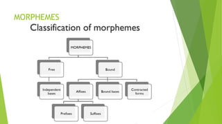 Morphology presentation | PPTX | Geology | Science