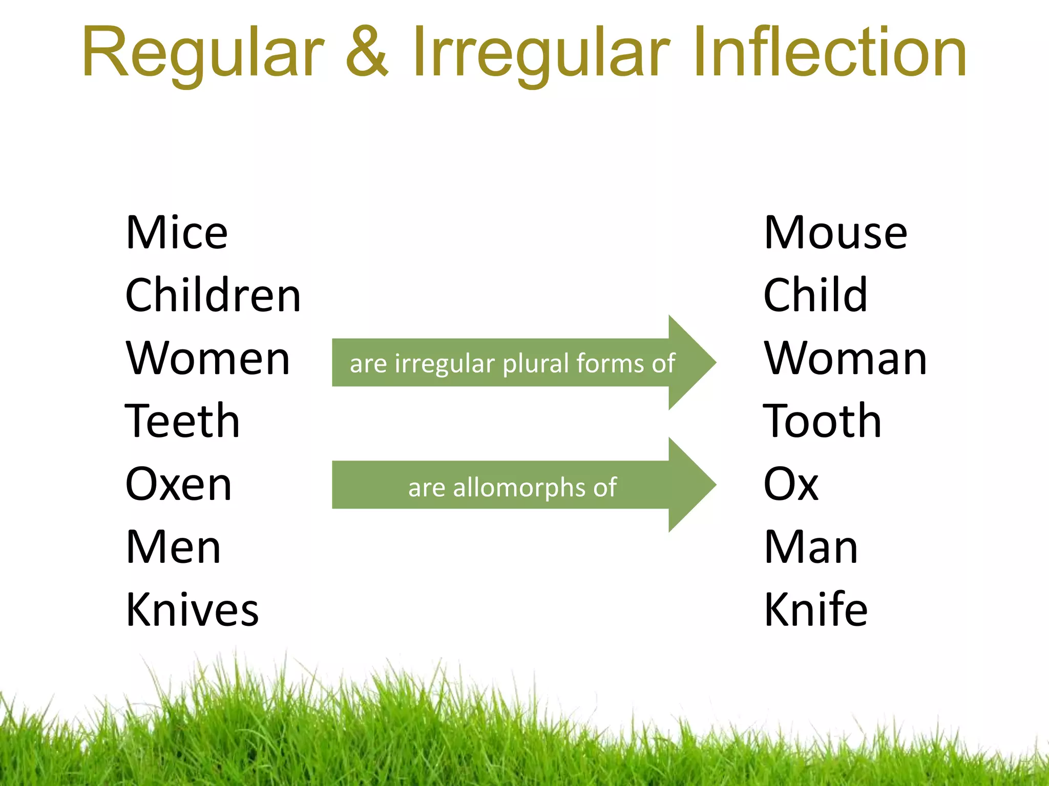 Inflection in Morphology (Linguistics) | PPTX