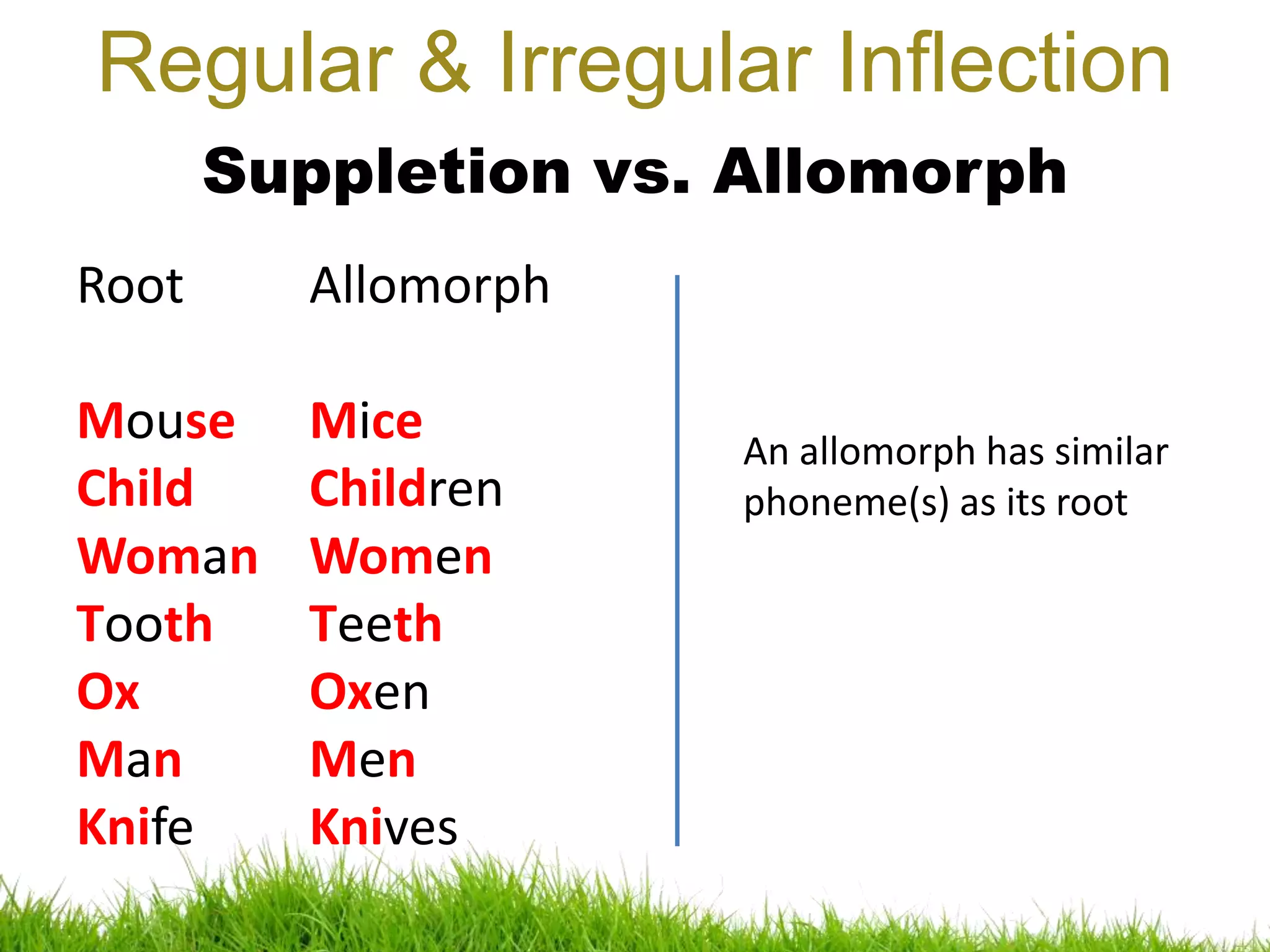 Inflection in Morphology (Linguistics) | PPTX