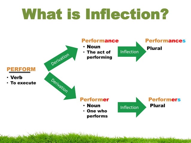 Inflection in Morphology (Linguistics) | PPTX