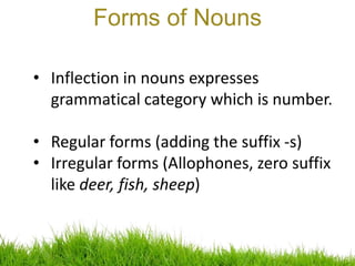 Inflection in Morphology (Linguistics) | PPTX