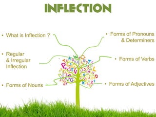 Inflection in Morphology (Linguistics) | PPTX