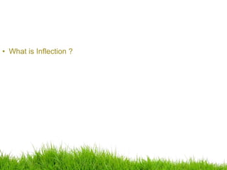 Inflection in Morphology (Linguistics) | PPTX