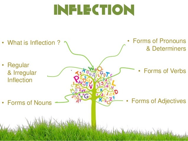 Inflection in Morphology (Linguistics)
