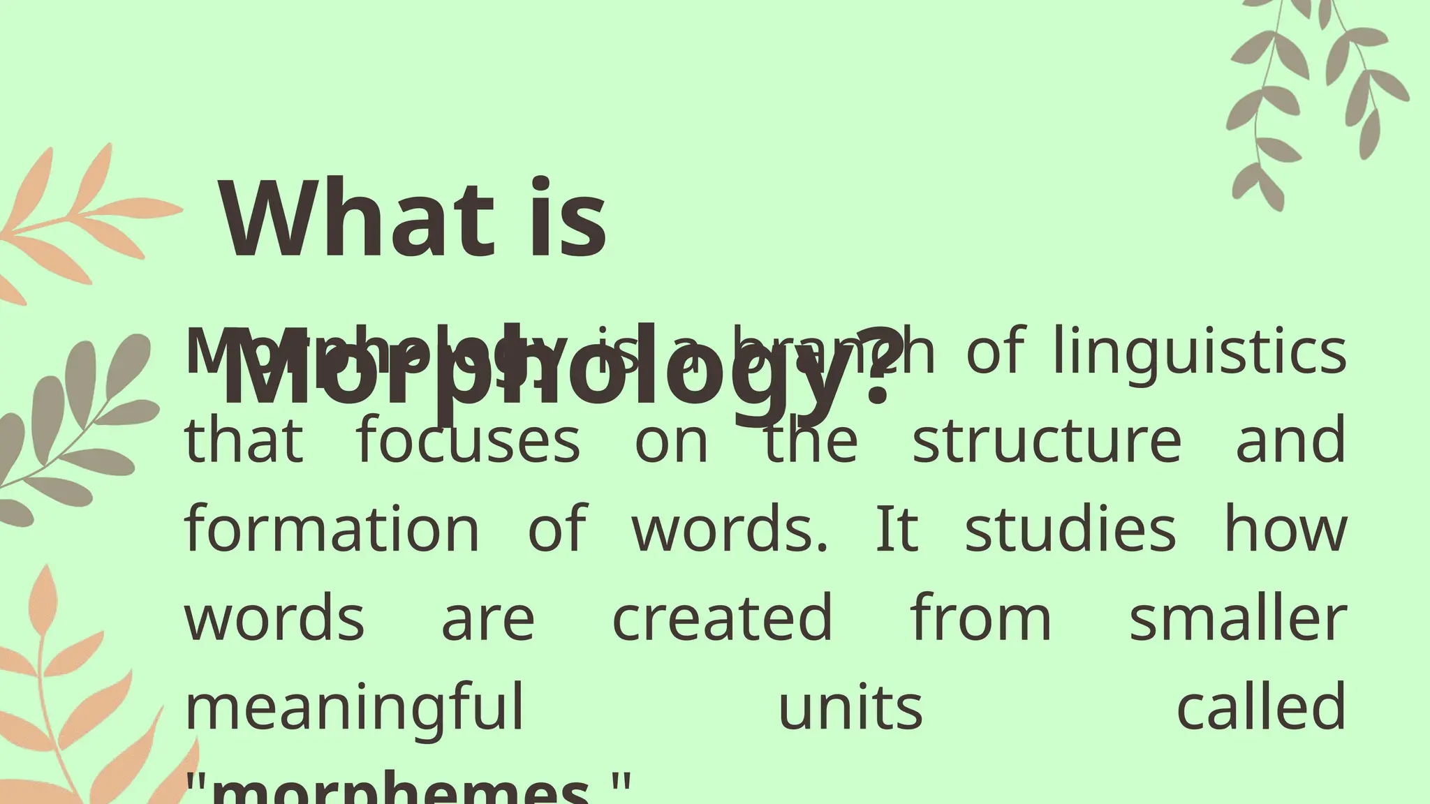 Morphology__report.pptx presentation for basic English grammar | PPTX ...