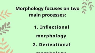 Morphology__report.pptx presentation for basic English grammar | PPTX