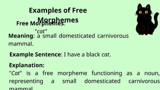 Morphology__report.pptx presentation for basic English grammar | PPTX