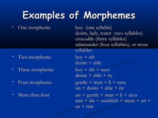 Morphology | PPT