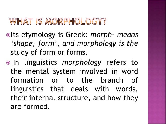 Morphology Definition