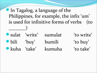Morphology Presentation | PPT