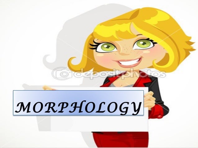 Morphology Presentation