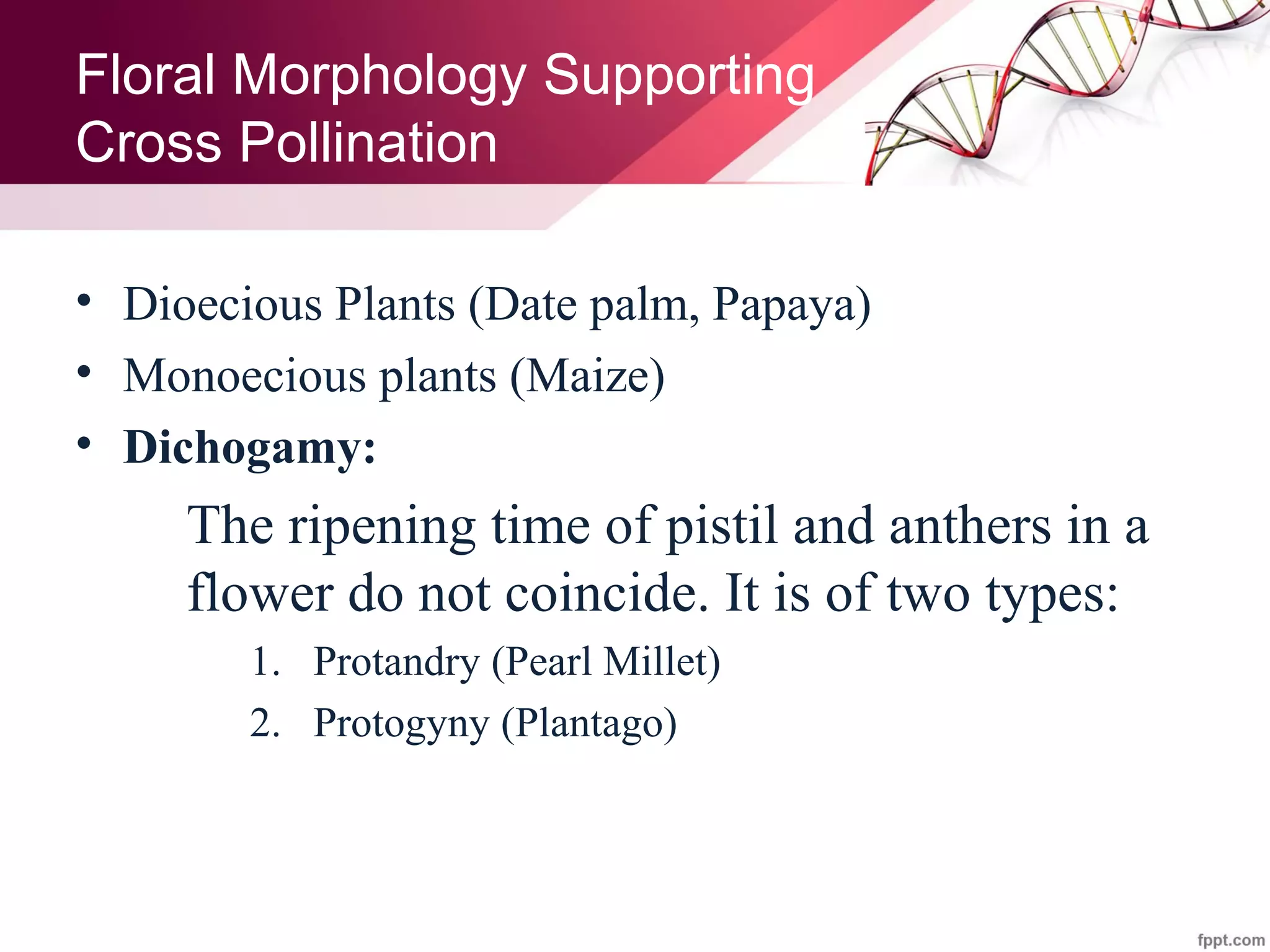 Morphology & Reproductive system of Plants | PPS