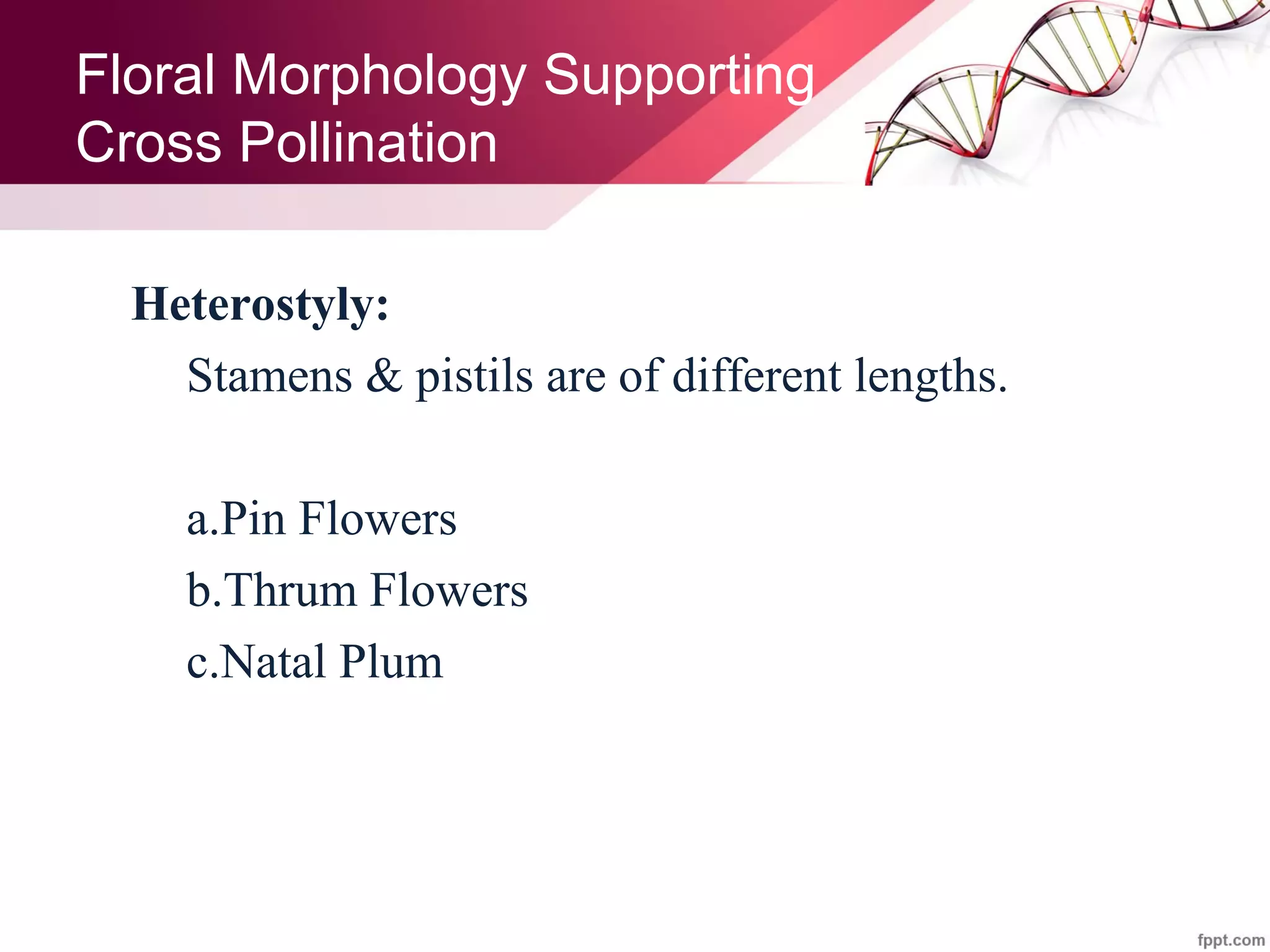 Morphology & Reproductive system of Plants | PPS