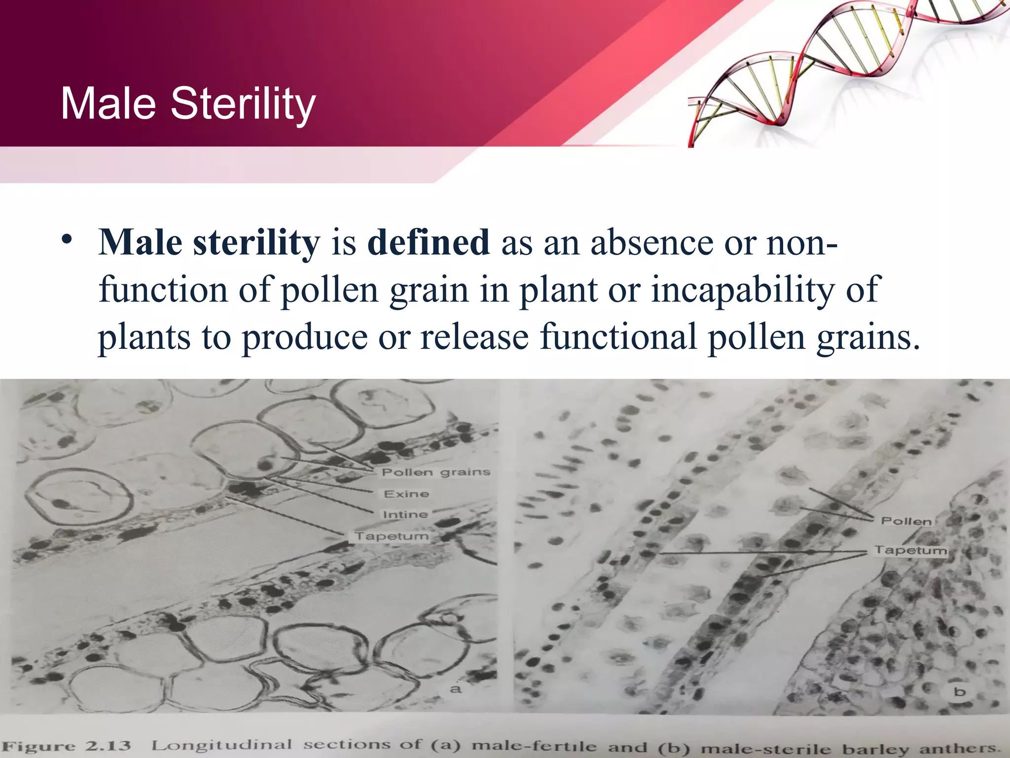 Morphology & Reproductive system of Plants | PPS