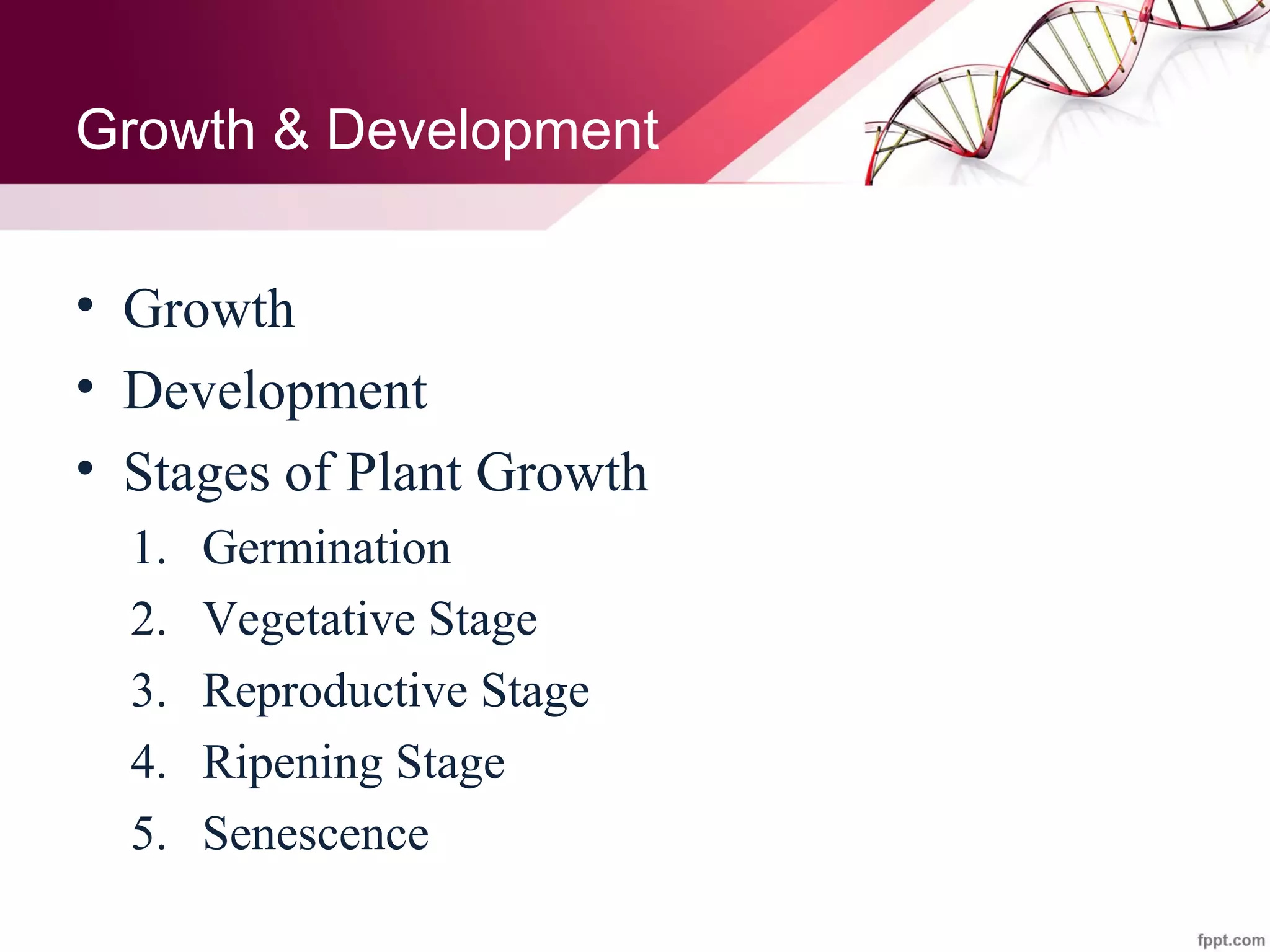 Morphology & Reproductive system of Plants | PPS