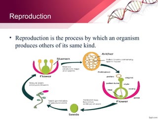 Morphology & Reproductive system of Plants | PPS