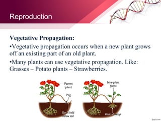 Morphology & Reproductive system of Plants | PPS