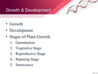 Morphology & Reproductive system of Plants | PPS