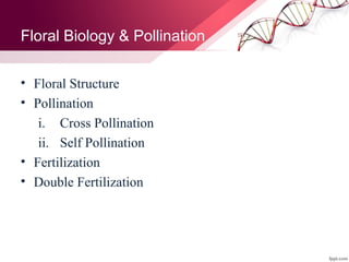 Morphology & Reproductive system of Plants | PPS