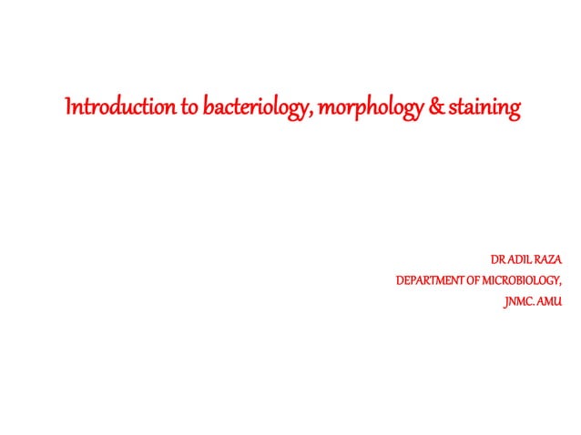 Introduction to Bacteriology, Morphology & staining | PPT