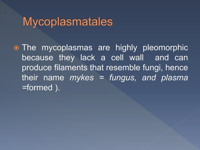 morphology & structure of spirochete, fungi & protozoa | PPT ...