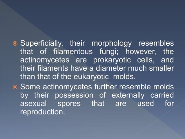 morphology & structure of spirochete, fungi & protozoa | PPT ...